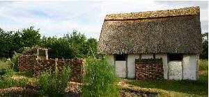 Medieval Peasants Houses