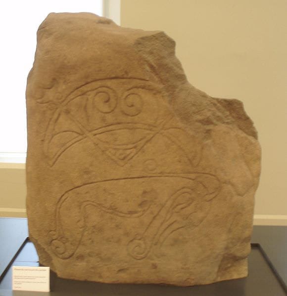 Pictish Animals