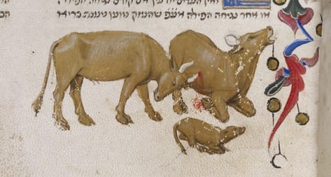 Plague Of Diseased Livestock