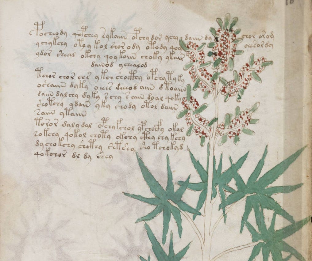 Voynich Manuscript Deciphered