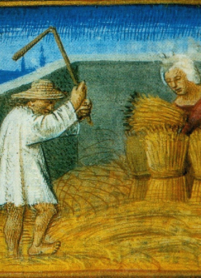 Medieval Peasants Farming