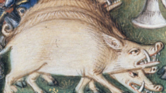 Medieval Pigs Pigs In Court Art By Ralph Bruce