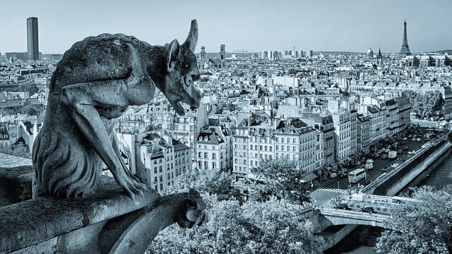Real Gargoyles