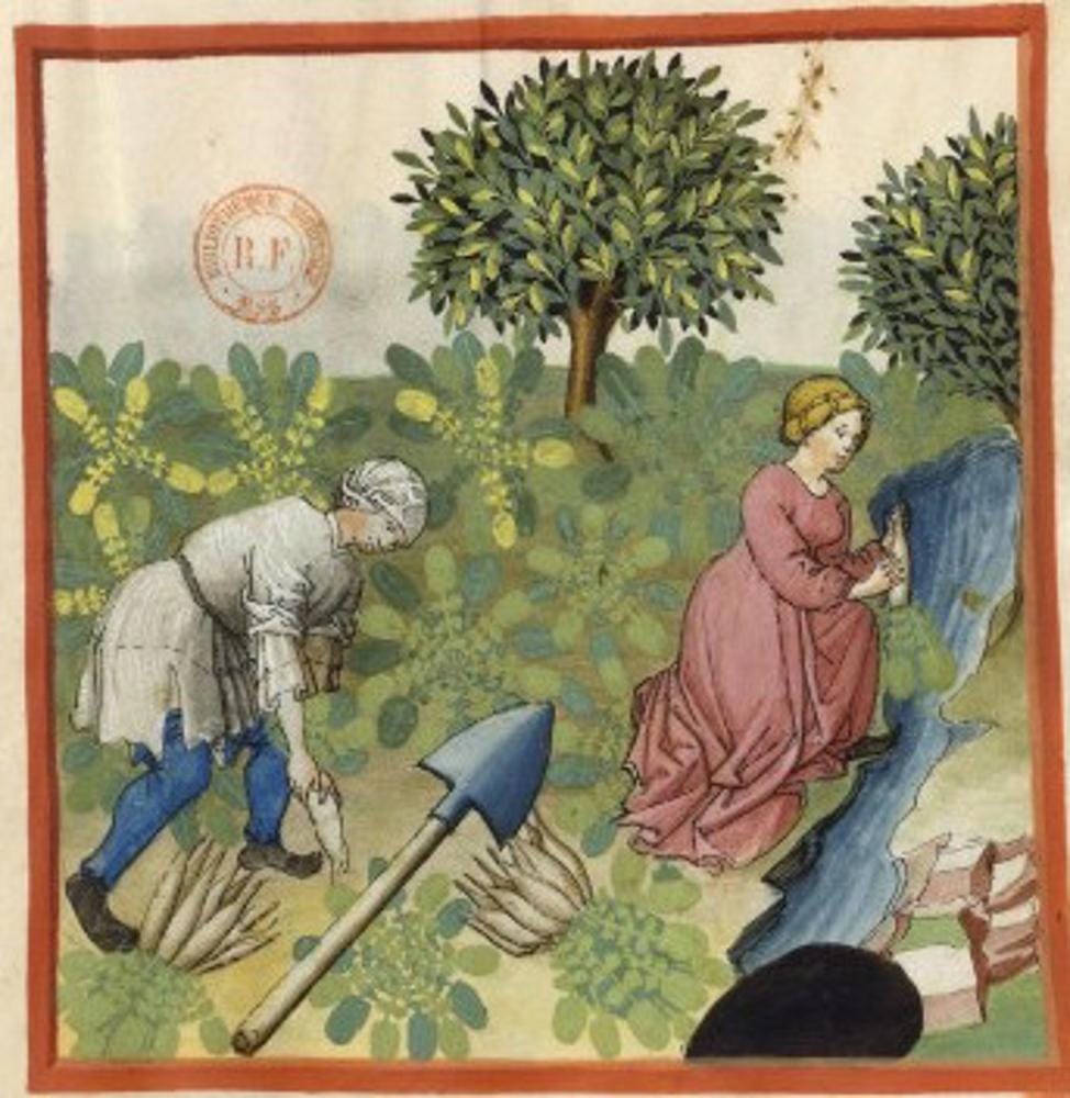 25 Things from Everyday Life in the Middle Ages - Medievalists.net