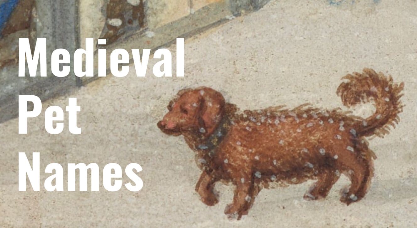 Medieval Pet Names, 46% OFF | www.pinnaxis.com